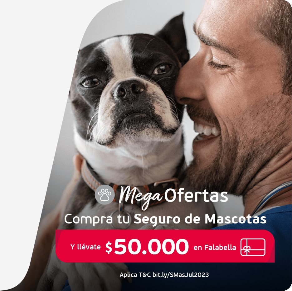 MEGA Ofertas | Seguros Falabella